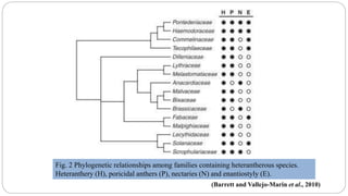 Heteranthery in Plants.pptx