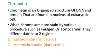 heterochromatinchromosomefullchapterppt.pdf