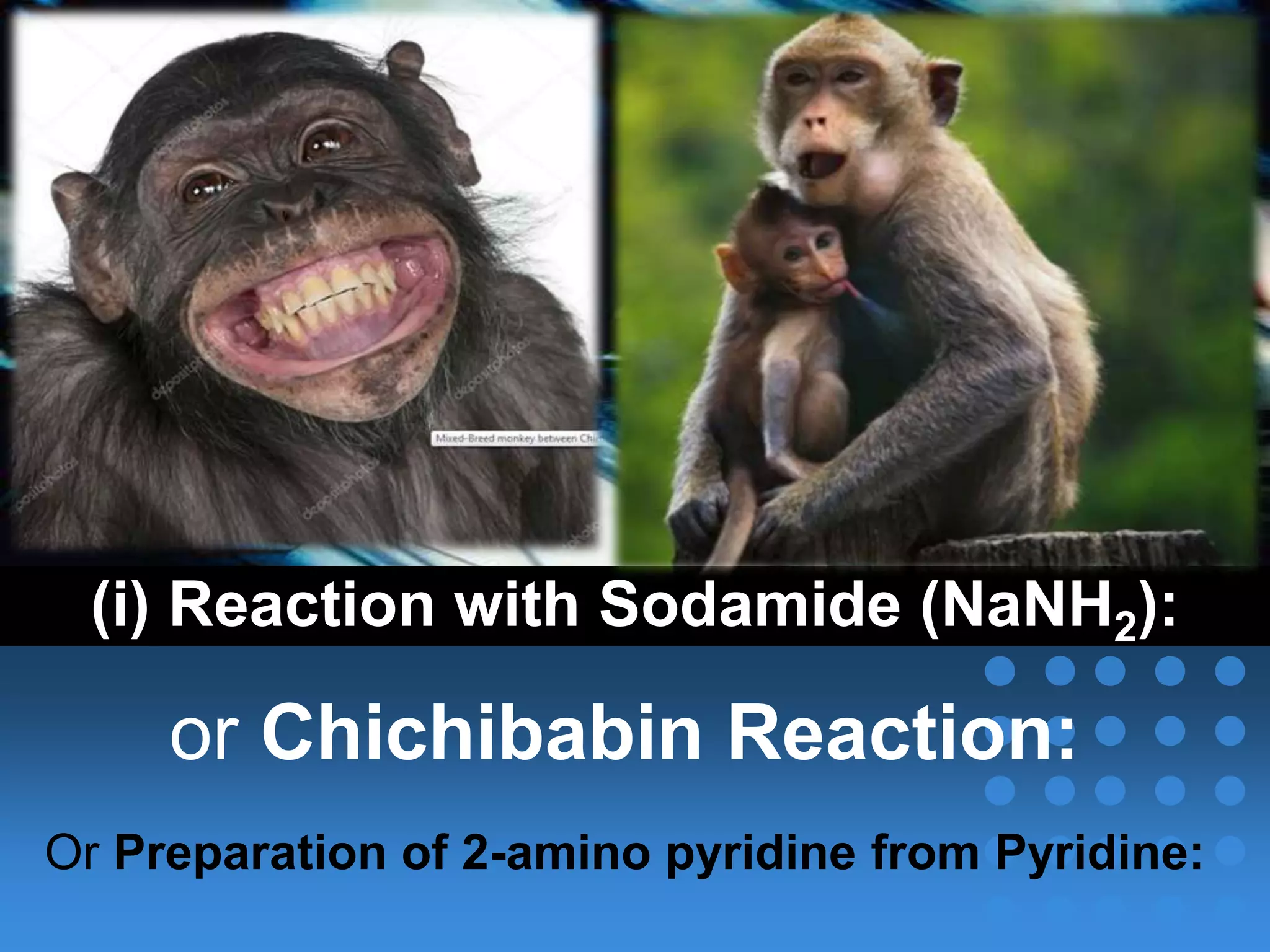 Heterocyclic Compounds Part-IV (Pyridine) by Dr Pramod R Padole | PPTX