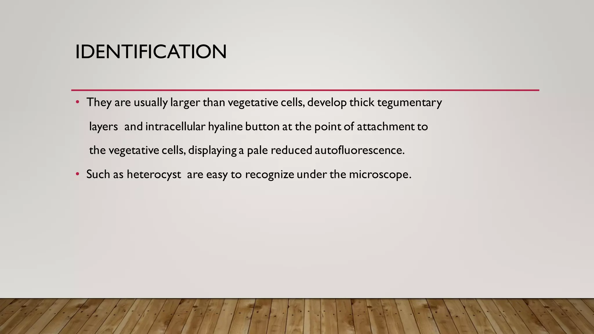 HETEROCYST.pdf