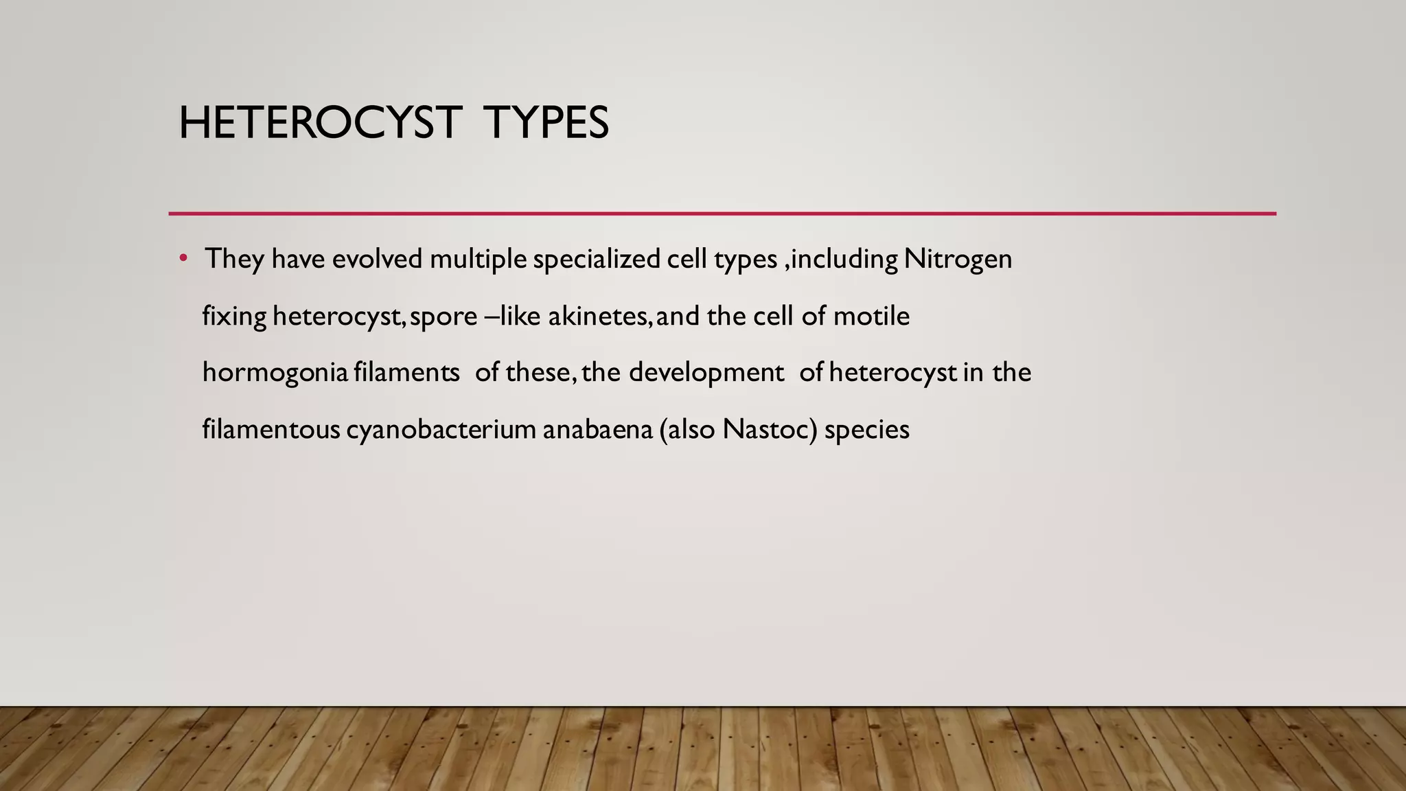 HETEROCYST.pdf | Biological Sciences | Science