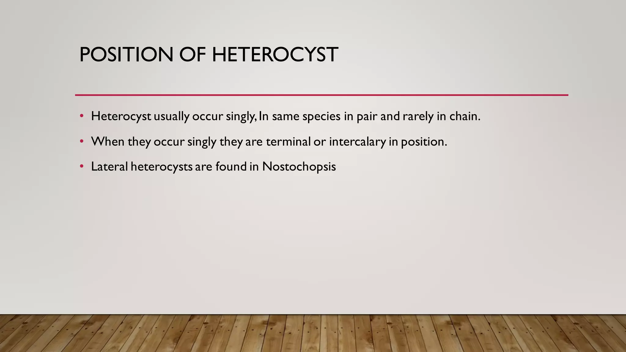 HETEROCYST.pdf