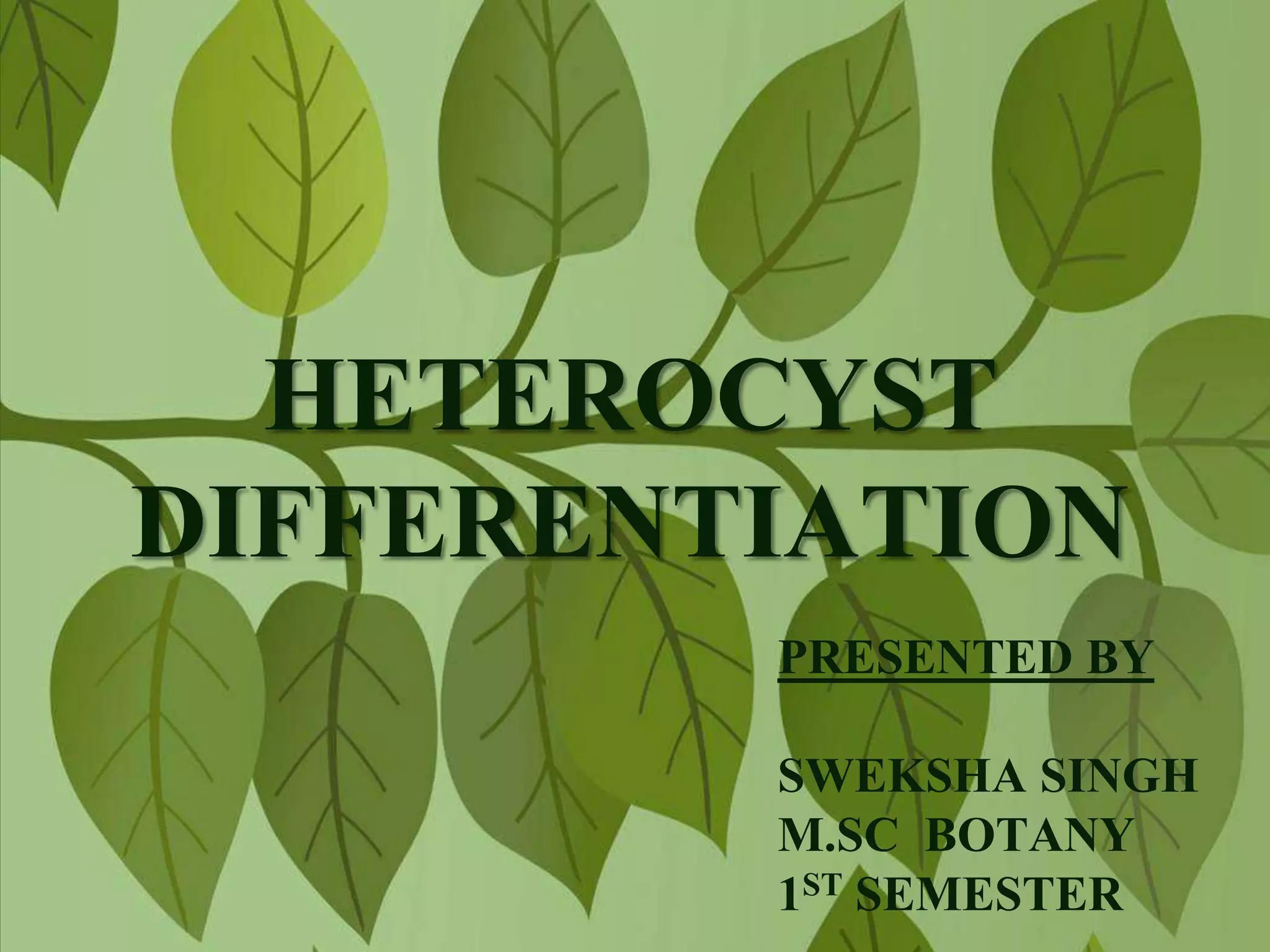 Heterocyst differentiation | PPT