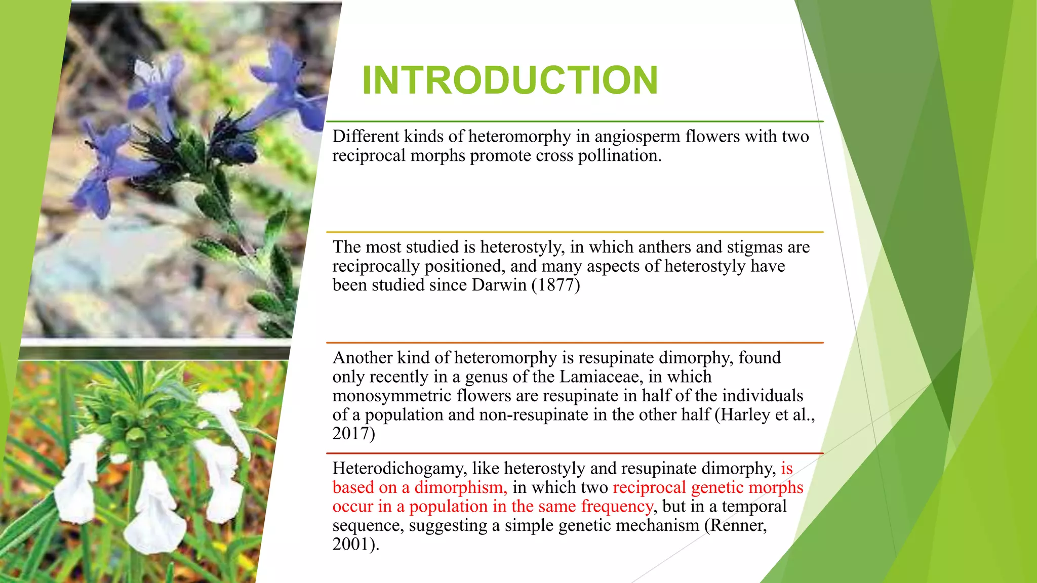 Heterodichogamy in plants | PPTX
