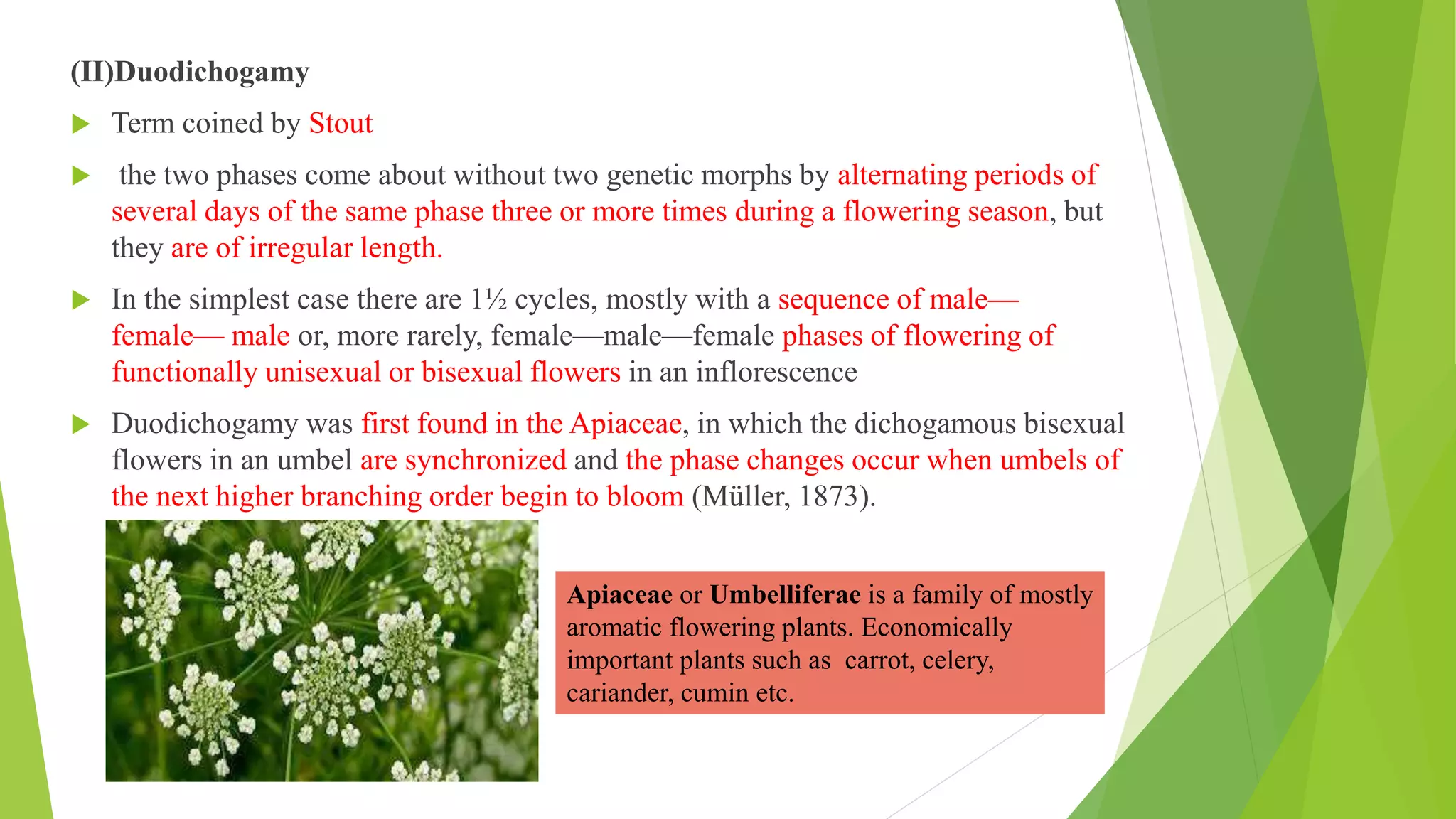 Heterodichogamy in plants | PPTX