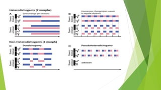Heterodichogamy in plants | PPTX