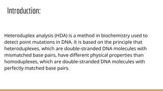 Heteroduplex Analysis (1).pdf....,,,,,,, | PDF