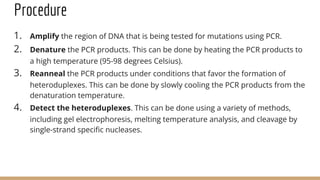 Heteroduplex Analysis (1).pdf....,,,,,,, | PDF