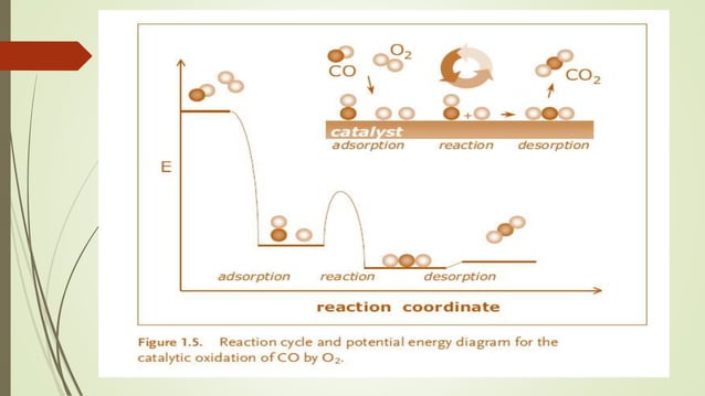 Heterogeneous catalysis-Fundamentals | PPTX | Chemistry | Science