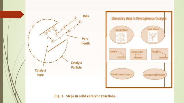 Heterogeneous catalysis-Fundamentals | PPTX | Chemistry | Science