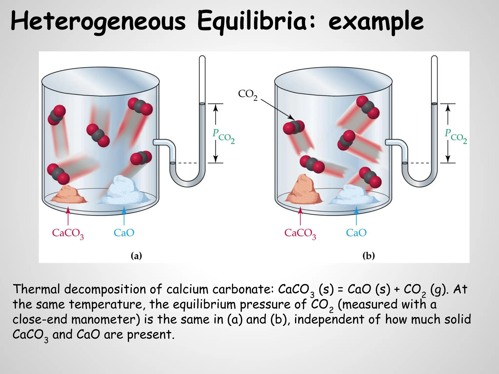 Heterogeneous Equilibria - Basic Concepts.pdf