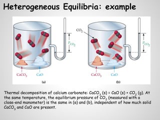 Heterogeneous Equilibria - Basic Concepts.pdf