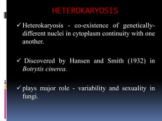Heterokaryosis and Parasexuality | PPTX