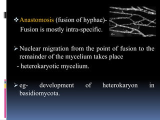 Heterokaryosis and Parasexuality | PPTX