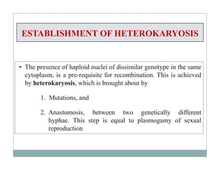 HETEROKARYOSIS AND PARASEXUALITY IN FUNGI.pdf