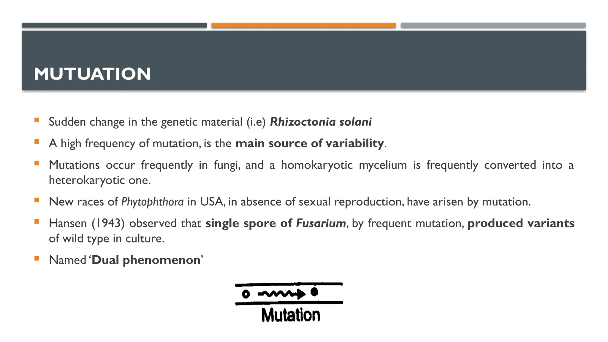 HETEROKARYOSIS IN FUNGI- GENETICALLY DIFFERENT NUCLEI | PPTX
