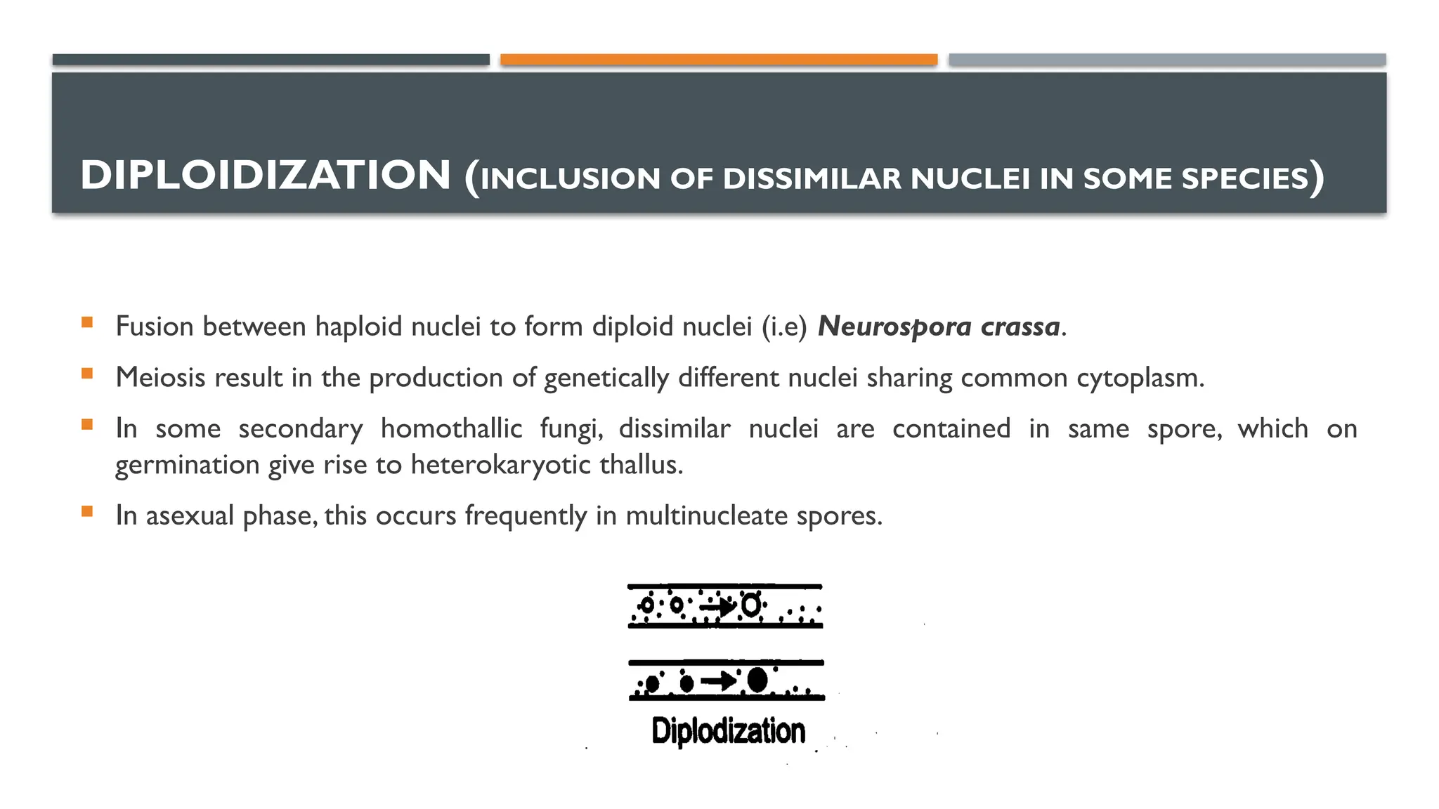 HETEROKARYOSIS IN FUNGI- GENETICALLY DIFFERENT NUCLEI | PPTX