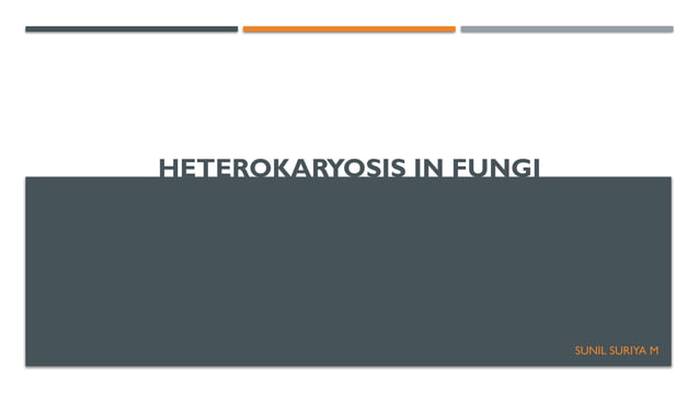 HETEROKARYOSIS IN FUNGI- GENETICALLY DIFFERENT NUCLEI | PPTX ...