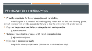 HETEROKARYOSIS IN FUNGI- GENETICALLY DIFFERENT NUCLEI | PPTX
