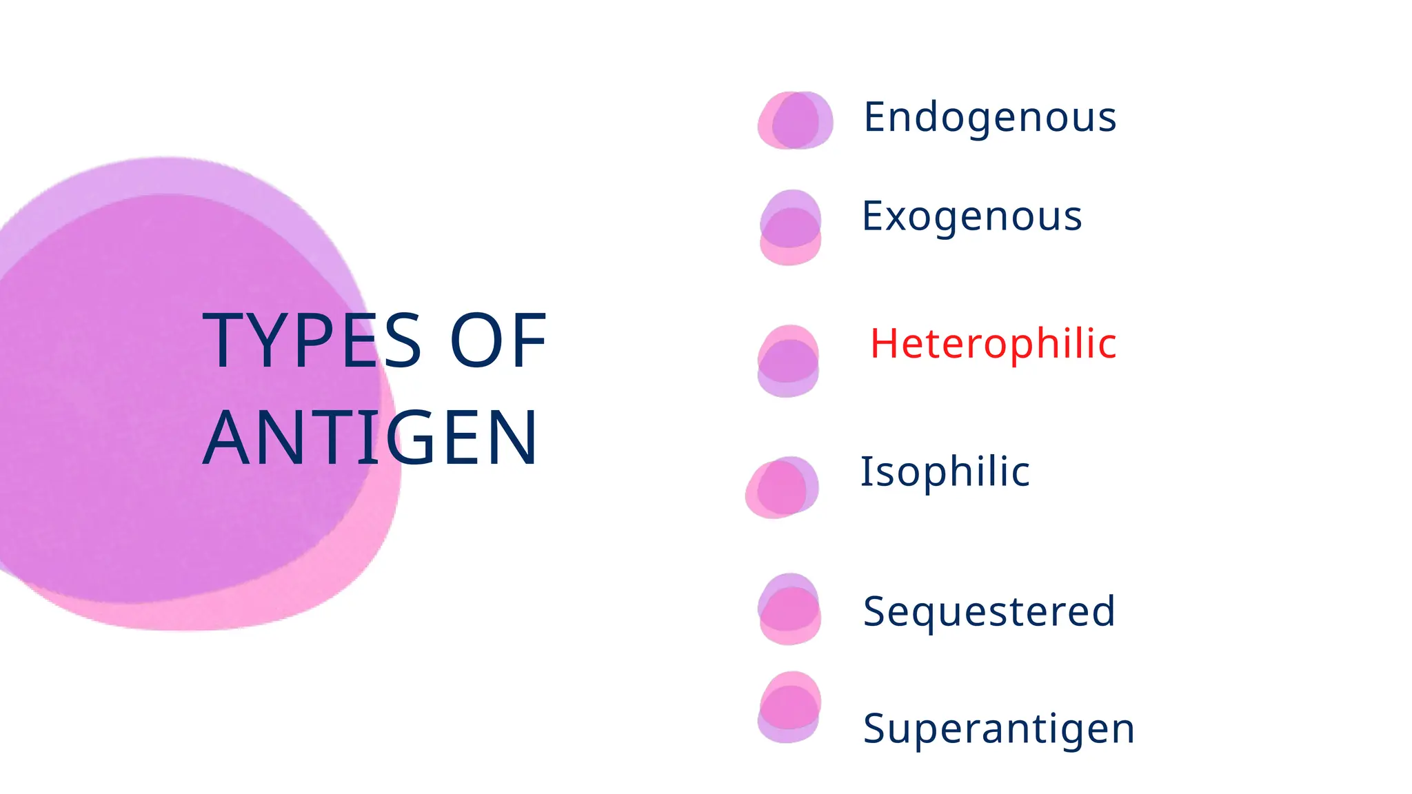 HETEROPHILIC ANTIGEN Presentations.pptx