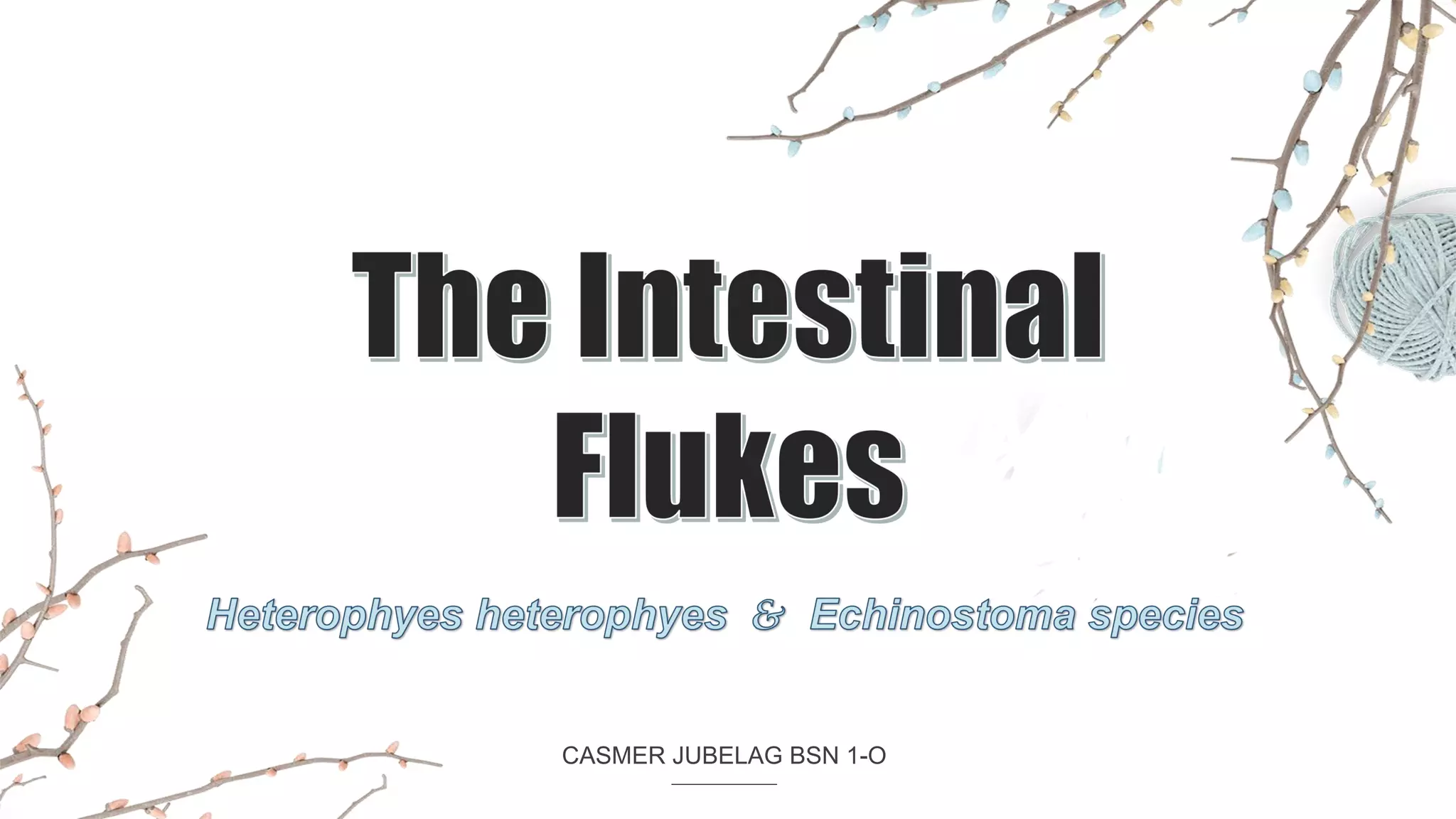 Heterophyes-Heterophyes-Echinostoma-Species-Casmer-Jubelag.pdf