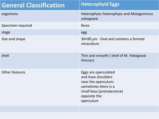 Heterophyes heterophyes | PPTX