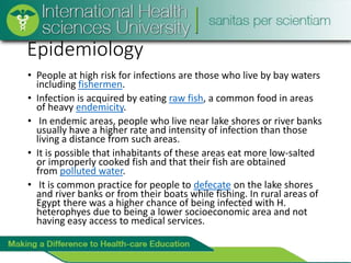 Heterophyes heterophyes | PPTX