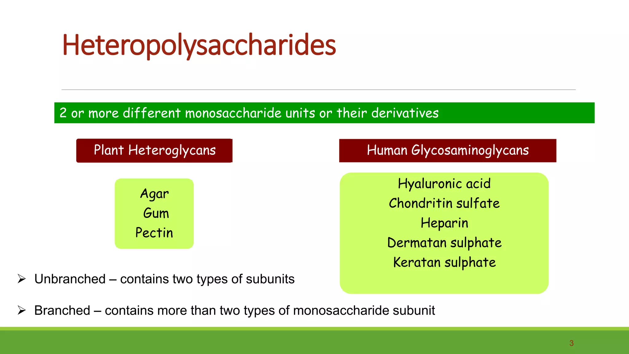 Heteropolysaccharides | PPTX