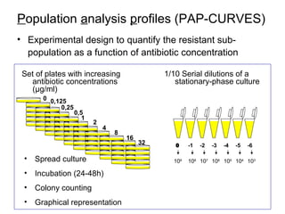 Can Meropenem Heteroresistance in OXA-48-Producing K. pneumoniae be ...
