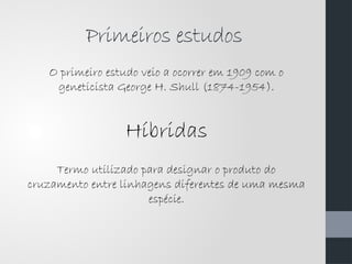 HETEROSE OU VIGOR HÍBRIDO - ESTUDOS.pptx