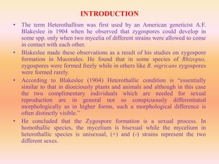 HETEROSEXUALITY IN FUNGI.pdf