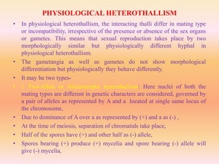 HETEROSEXUALITY IN FUNGI.pdf