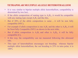 HETEROSEXUALITY IN FUNGI.pdf