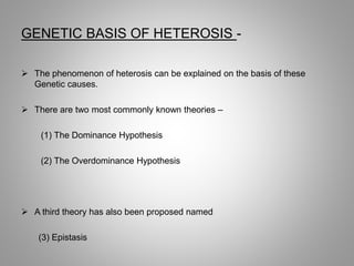 Heterosis | PPTX