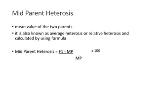 heterosis.pptx
