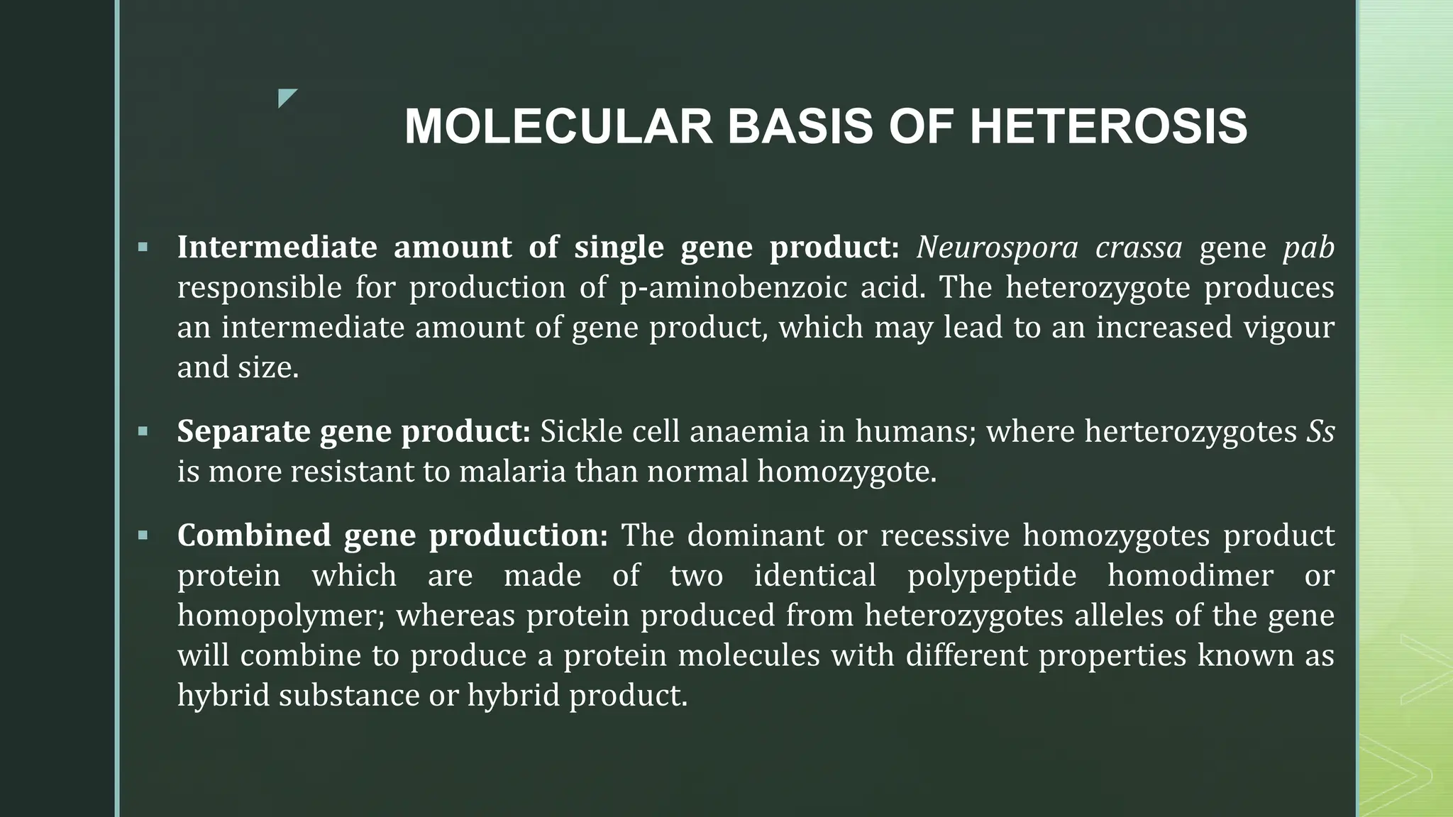 Heterosis.pptx