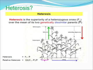 Heterosis and their Utilization in Forest tree improvementppt | PPT