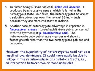 Heterosis and types -inbreeding-depression.pdf