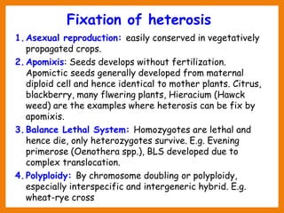 Heterosis and types -inbreeding-depression.pdf