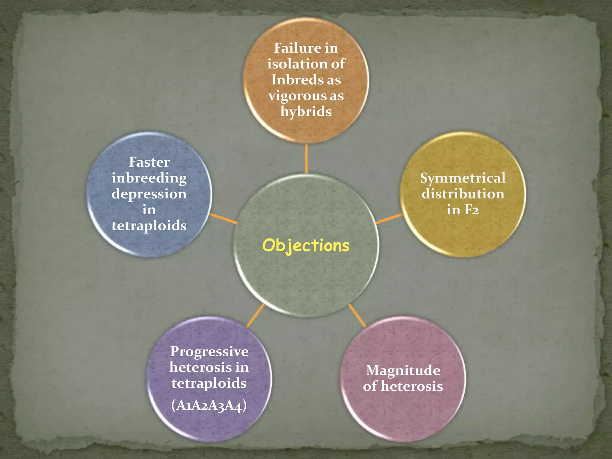 Heterosis breeding - Dr. Mahesh B. Ghuge | PPTX