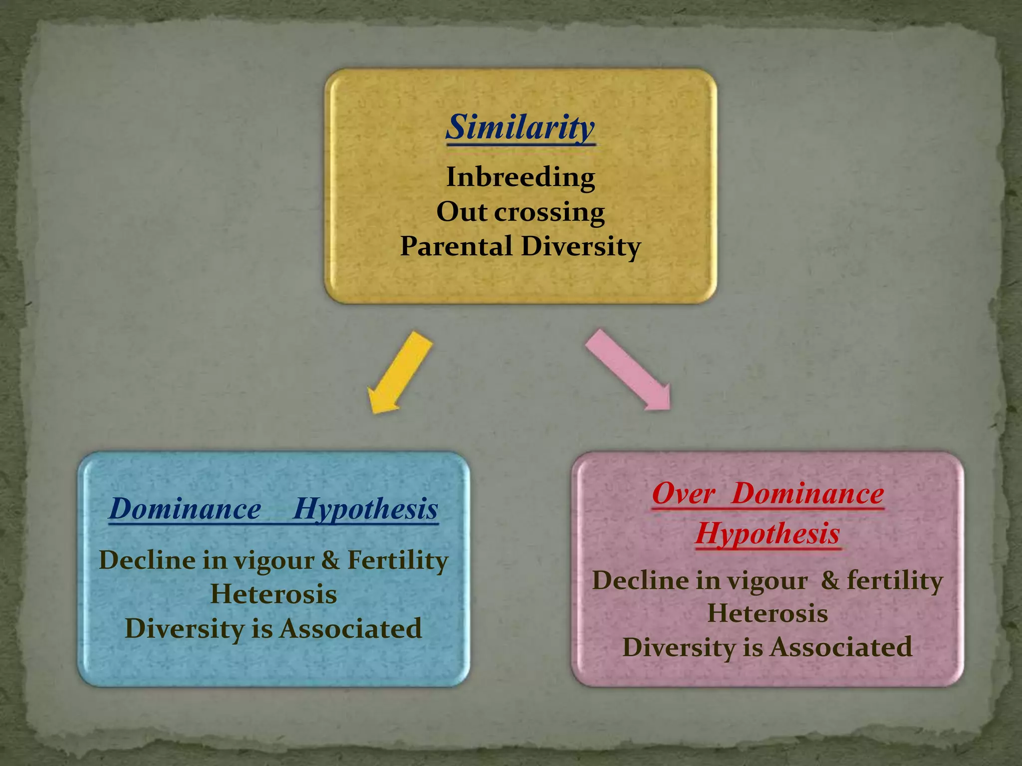 Heterosis breeding - Dr. Mahesh B. Ghuge | PPTX