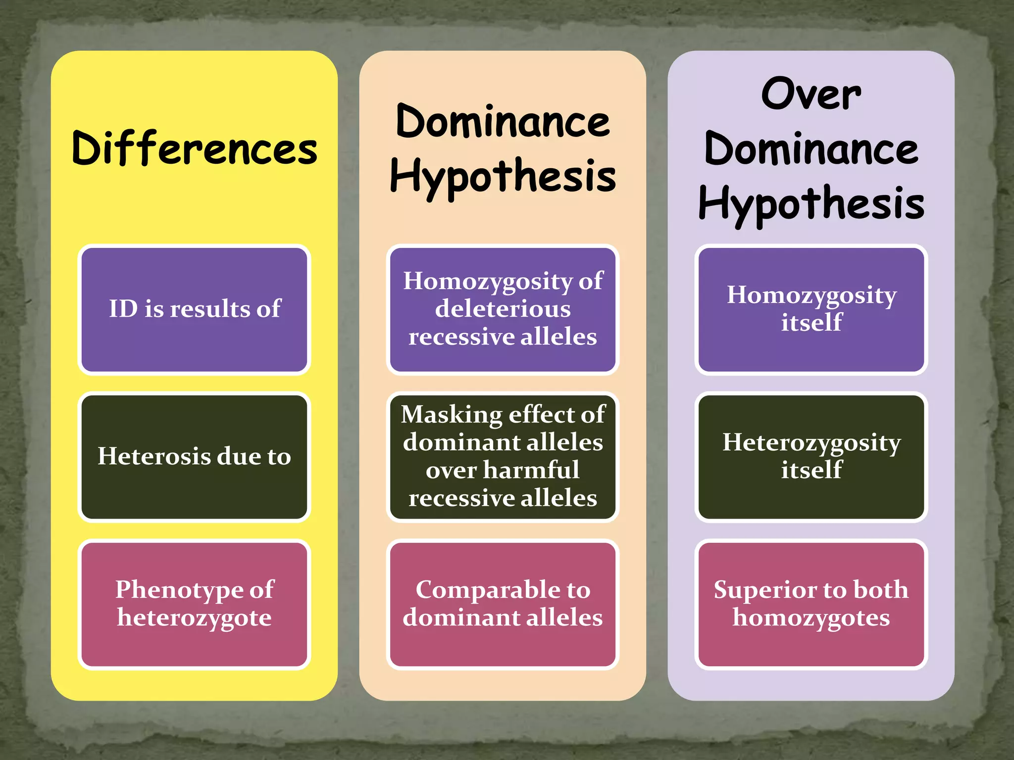 Heterosis breeding - Dr. Mahesh B. Ghuge | PPTX