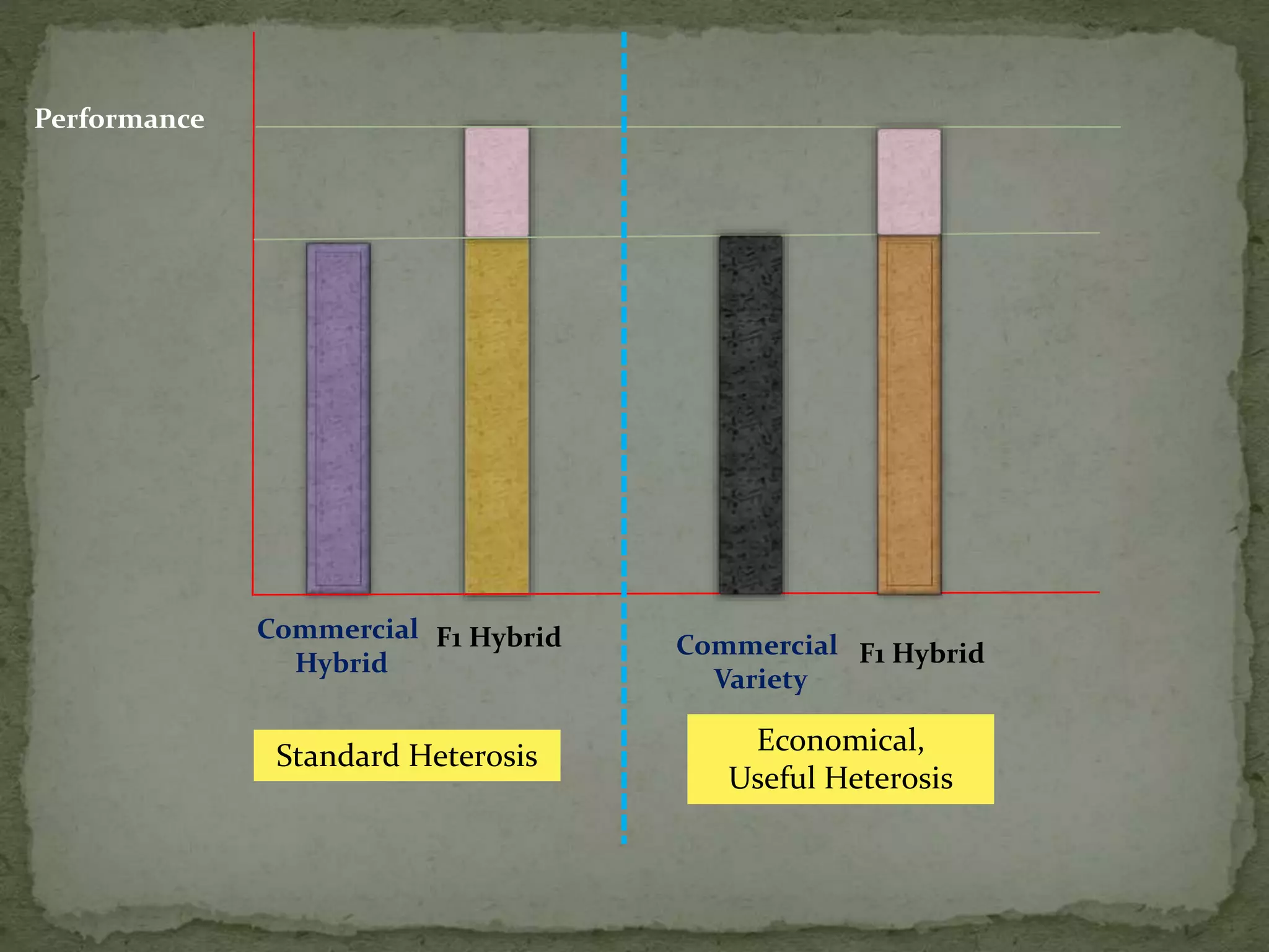 Heterosis breeding - Dr. Mahesh B. Ghuge | PPTX