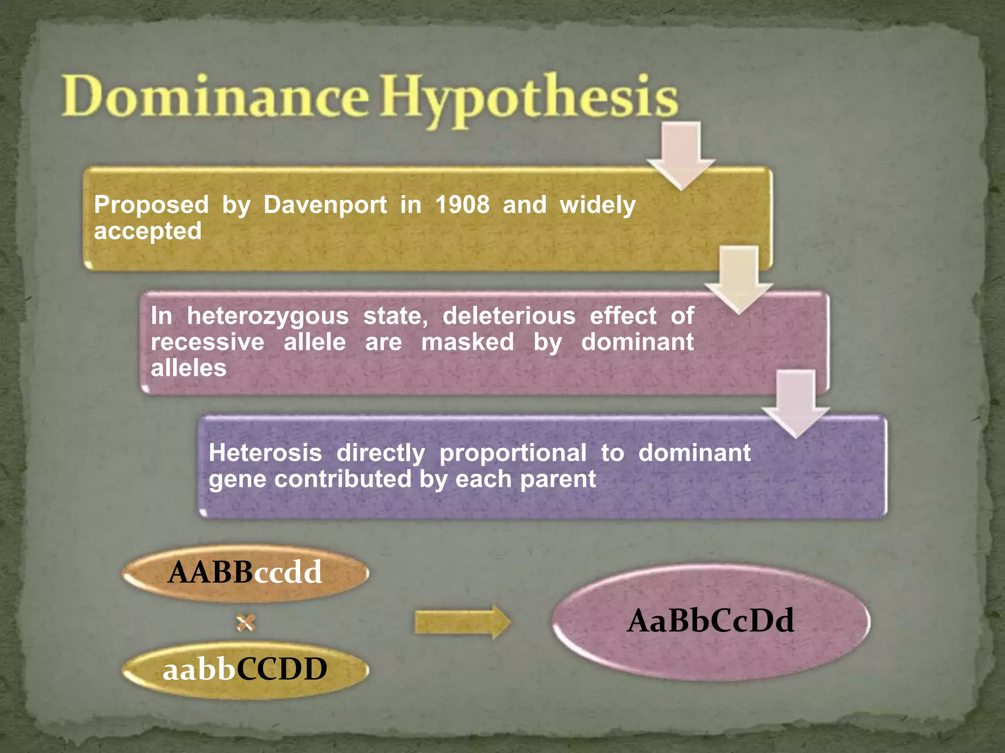 Heterosis breeding - Dr. Mahesh B. Ghuge | PPTX