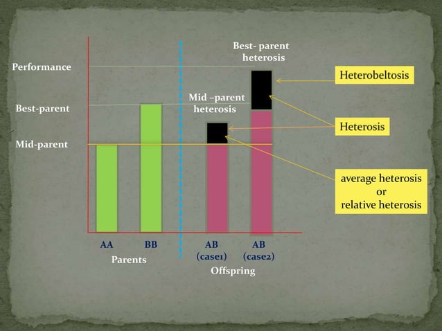 Heterosis breeding - Dr. Mahesh B. Ghuge | PPTX | Gardening | Home & Garden