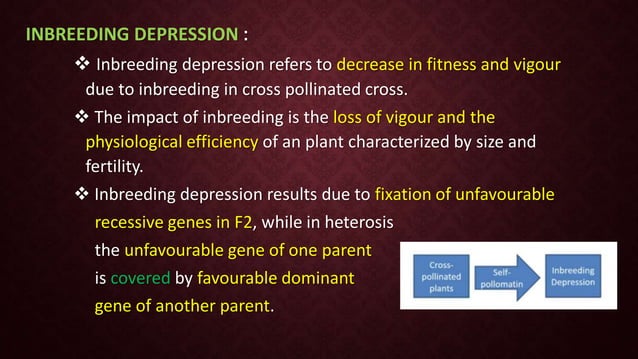 Heterosis breeding and inbreeding depression.pdf