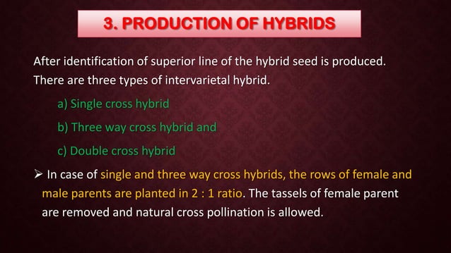 Heterosis breeding and inbreeding depression.pdf