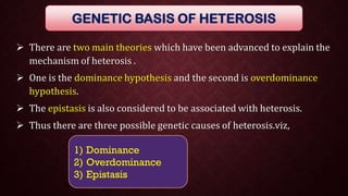 Heterosis breeding and inbreeding depression.pdf