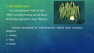 Heterosis breeding in okra and chilly | PPTX