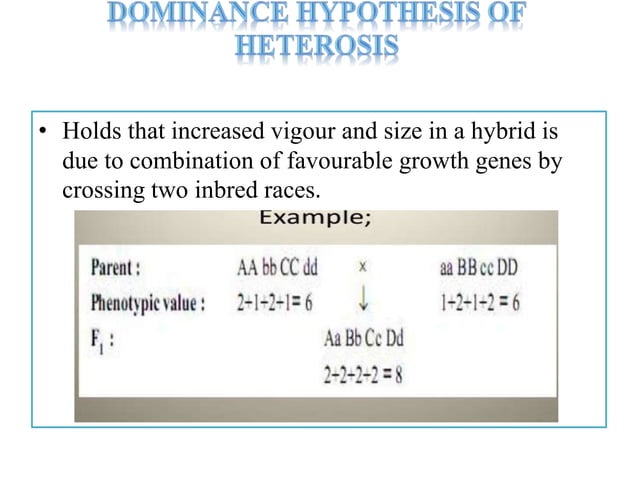 Heterosis breeding in horticultural crops | PPT